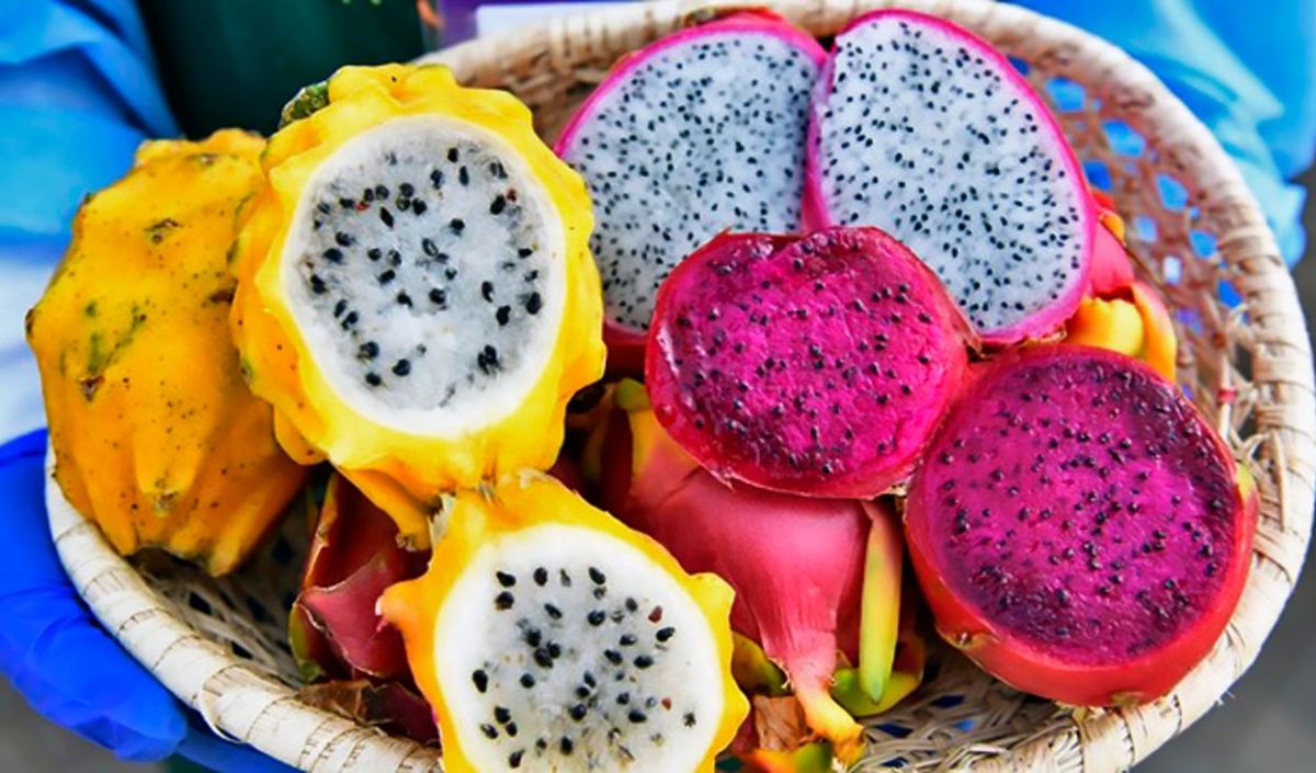 ¿Cuáles son los beneficios de la pitaya y por qué deberías consumirla ...