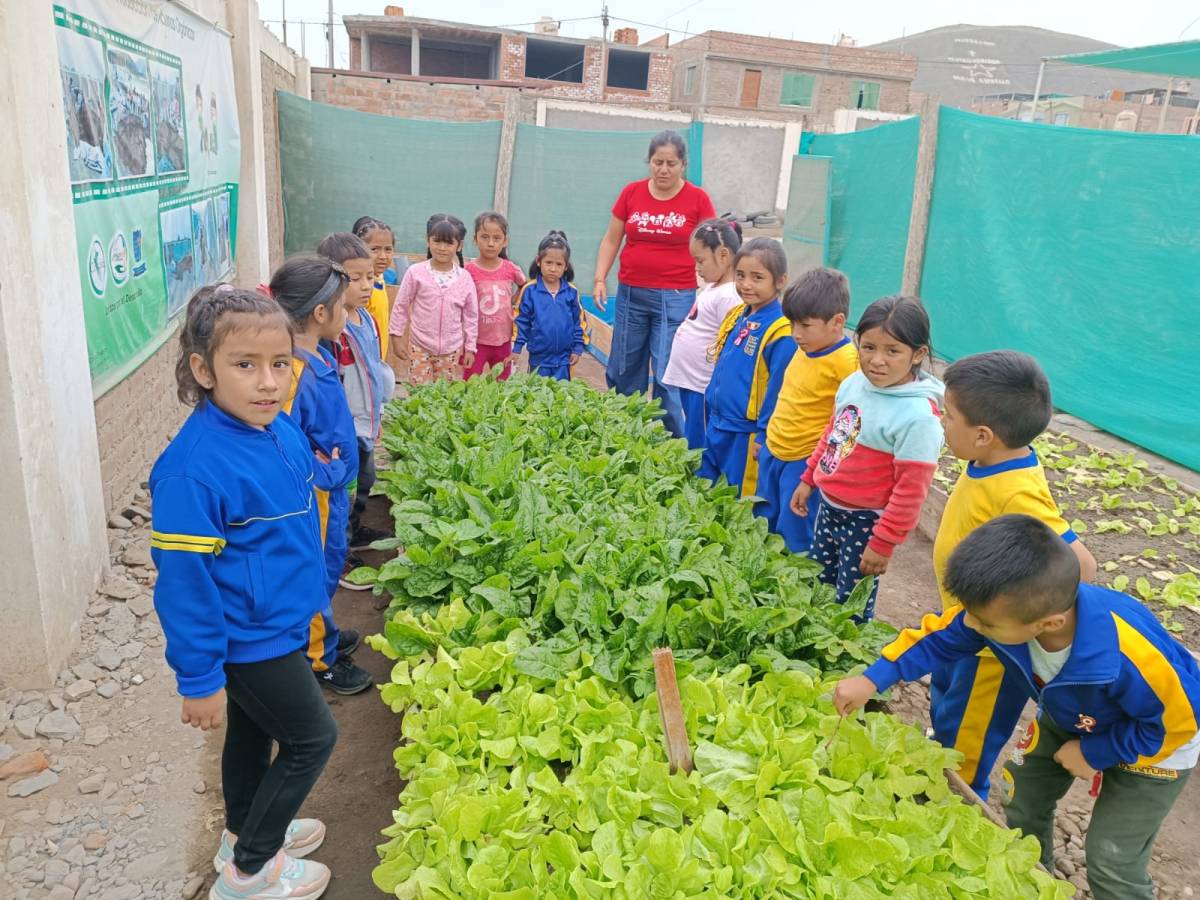 Niños cosechan con éxito en biohuertos escolares – ENFOQUE REAL